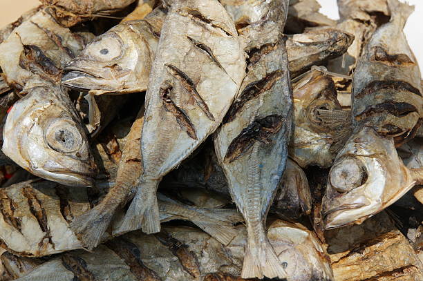 Stockfish for Sale in Norway: 5 Best Types by Norstock Now